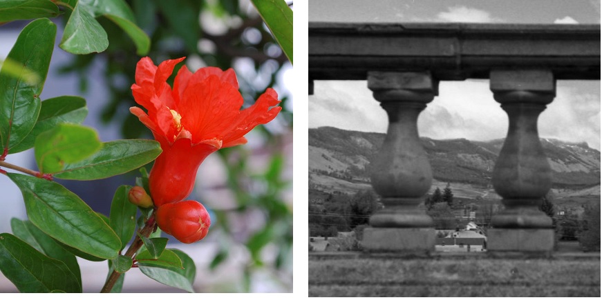 Balusters – Friends of the Grand Staircase